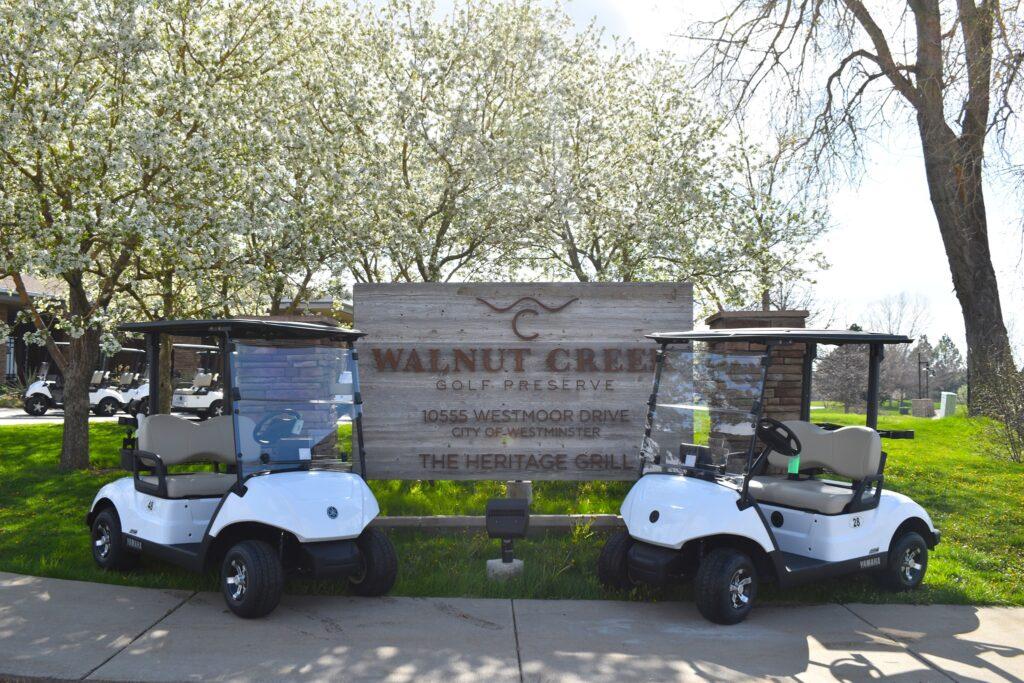 Single Rider Golf Carts - Safe, Convenient, and Affordable